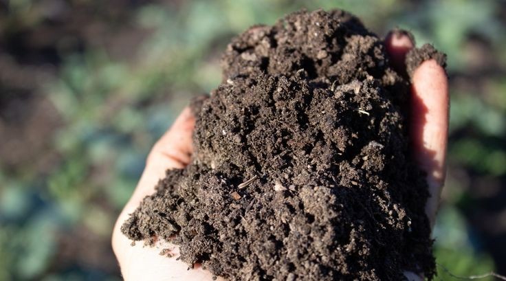 soil types Object Detection Model by klasifikasi jenis tanah