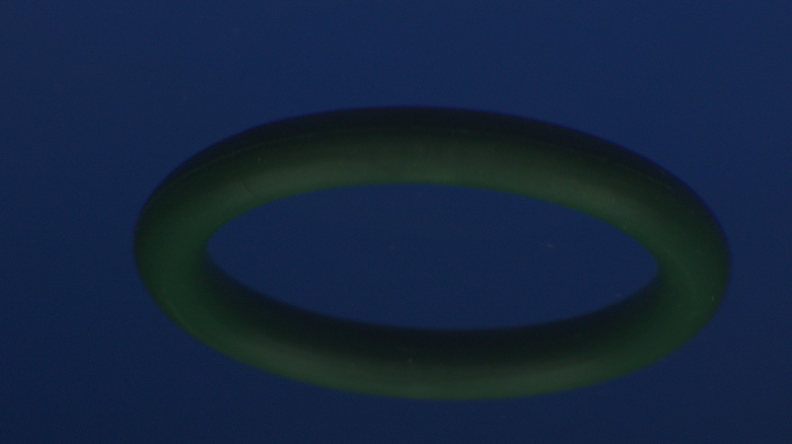 O-ring detection Object Detection Dataset and Pre-Trained Model by ...