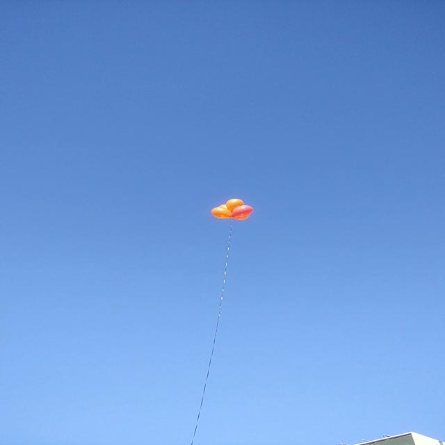 Balloons v2 Object Detection Model by Hawkeye