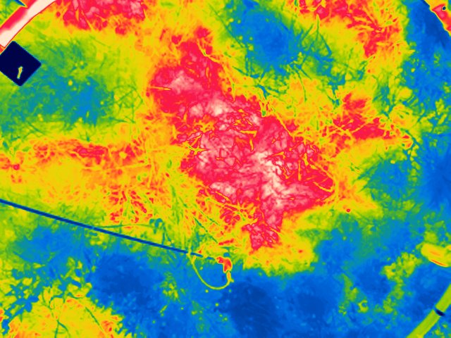 Custom Workflow Instance Segmentation Instance Segmentation Model by A400