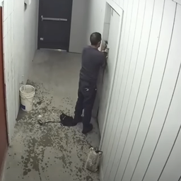 yolov5 person Object Detection Dataset by quidsML