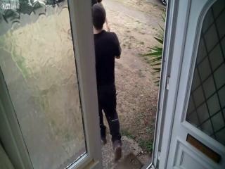 fighting detection Object Detection Dataset by fighting