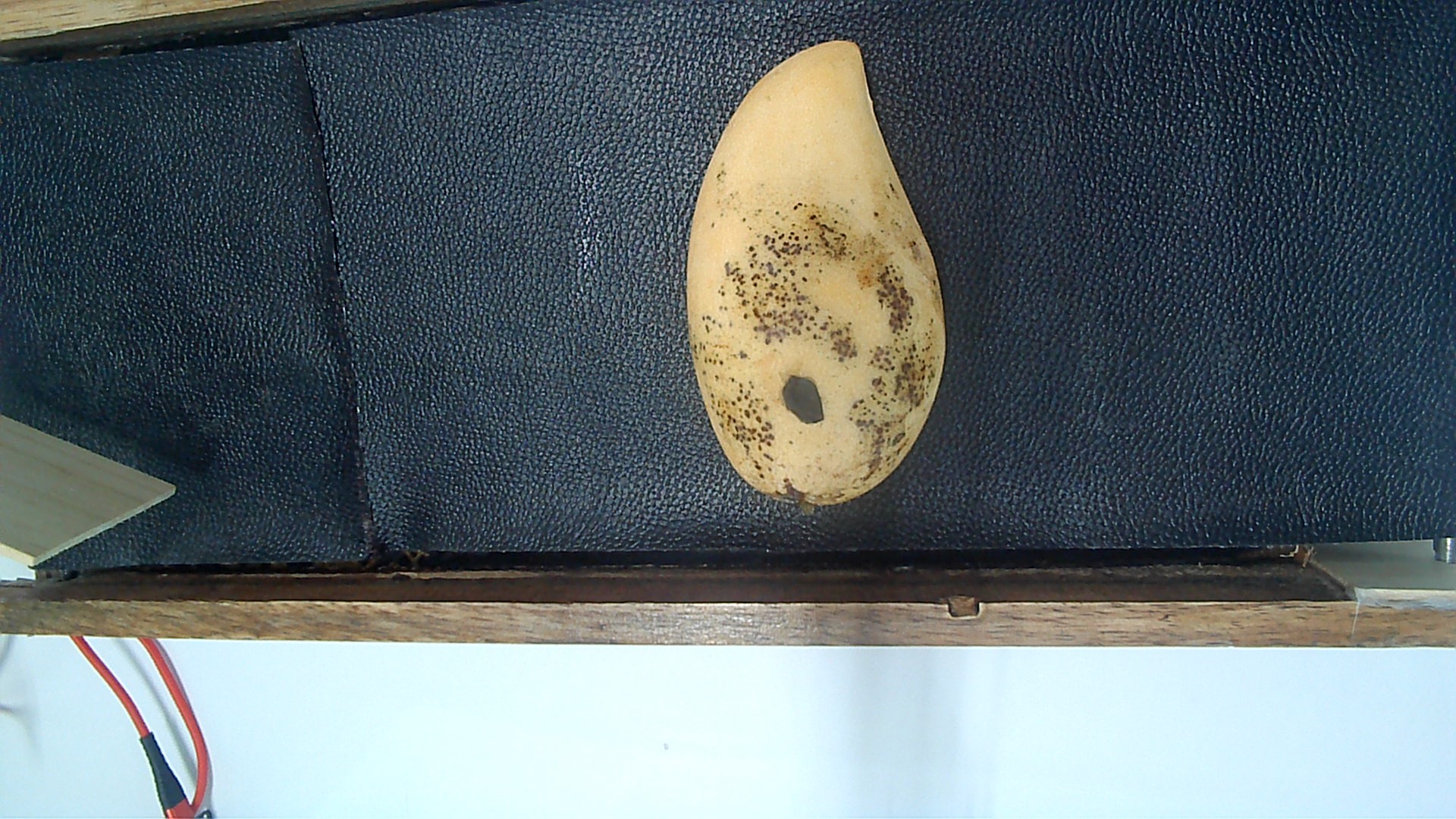 Mango Mango Infected By Anthracnose Disease Roboflow Universe