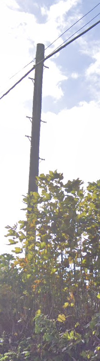 Rbflow (rbflow-zhjok) - Roboflow Universe