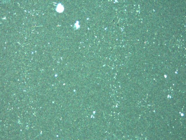 Si_IrradiatedDead_100077-Backsdie Classification Dataset by APD LAB NEW ...