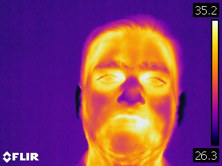 PG Classification Dataset and Pre-Trained Model by Thermal