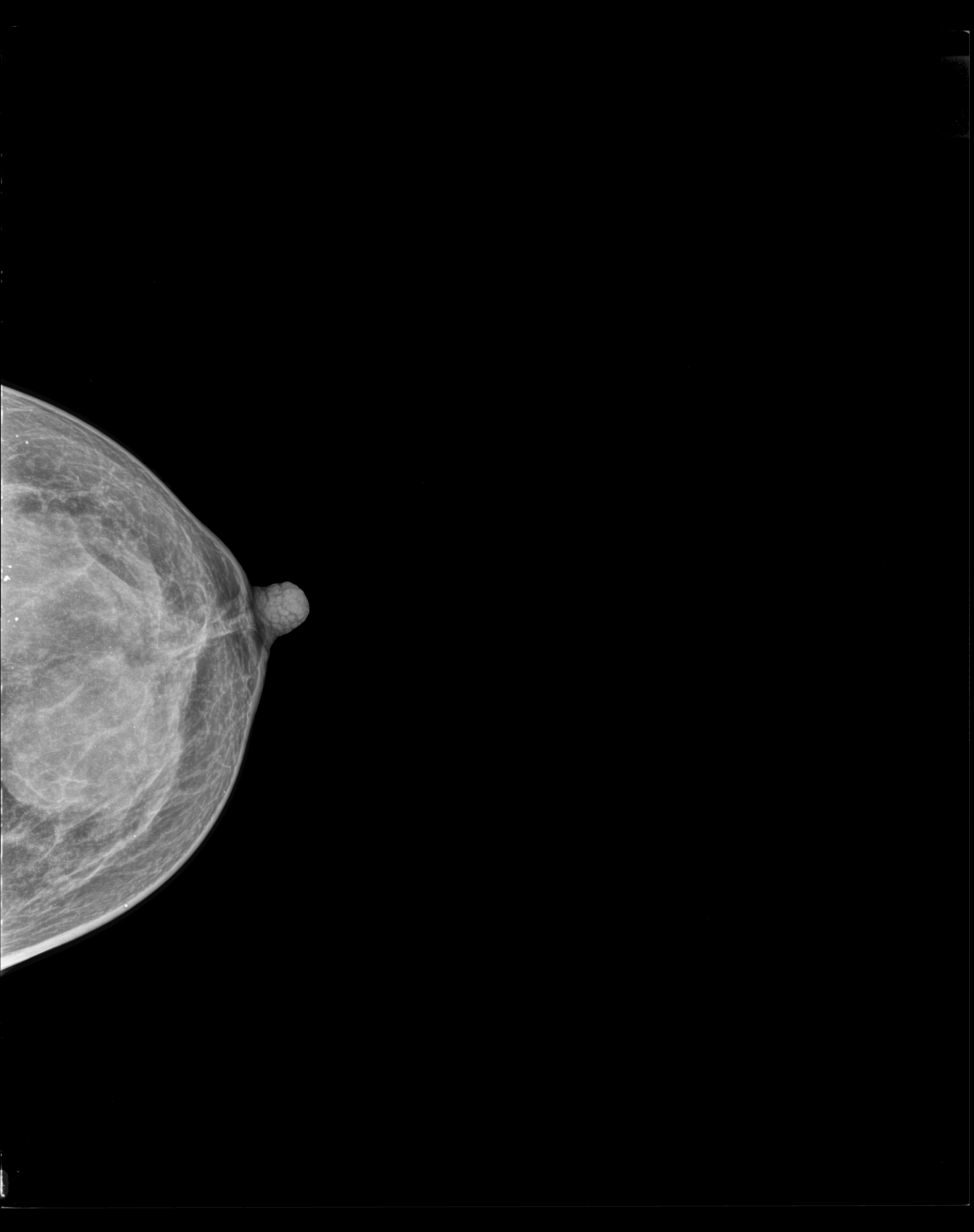 TEST DMID ALLDATASETS Object Detection Dataset by Hector Zepeda