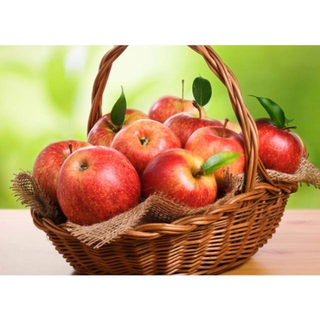 fruit_detection Object Detection Model by mymy