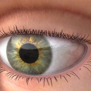 Iris-Pupil Object Detection Dataset by Daniel Kamphake