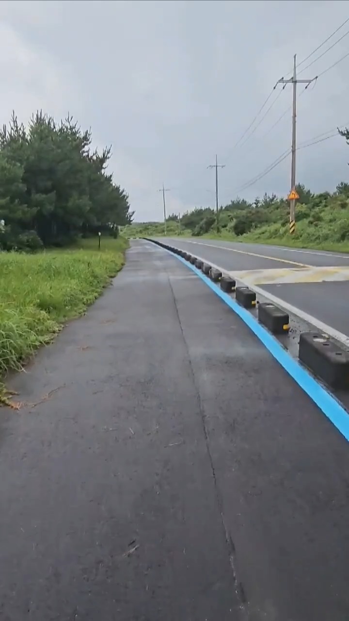 road Instance Segmentation Dataset by Illusory Heart