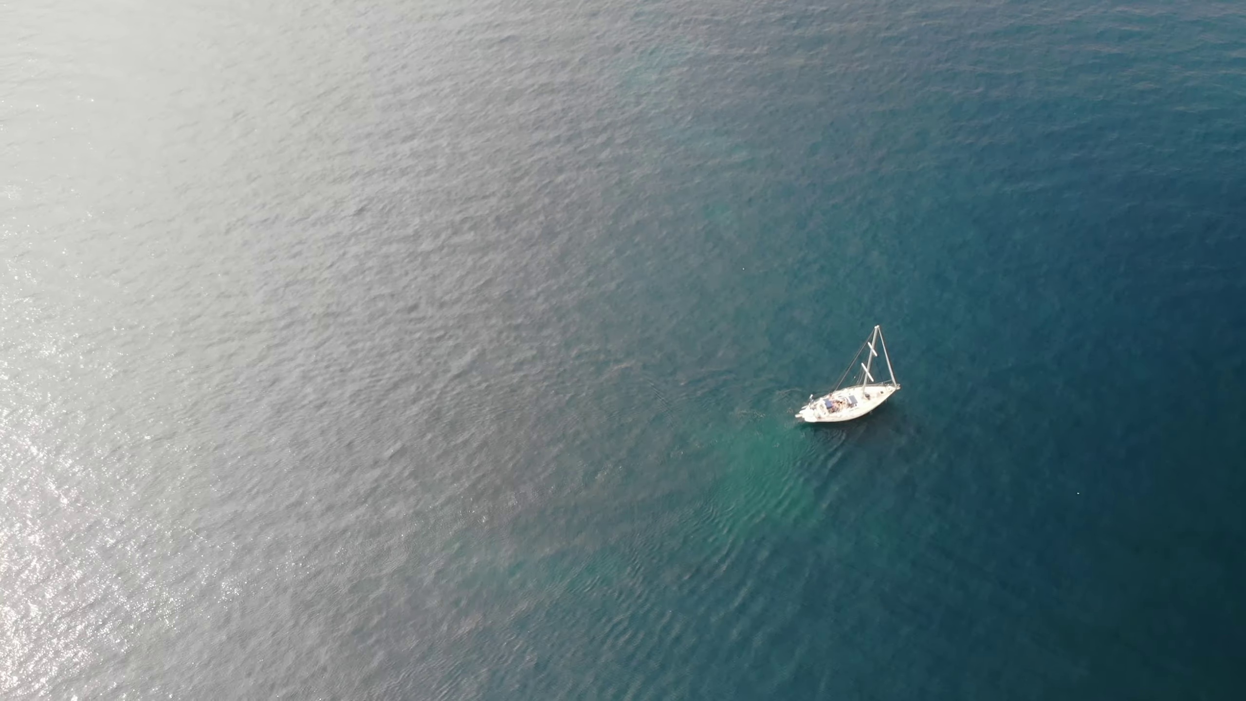 AFO_Check Object Detection Dataset by UAP