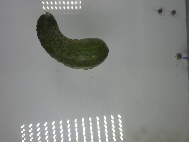 Gherkin Object Detection Dataset By School