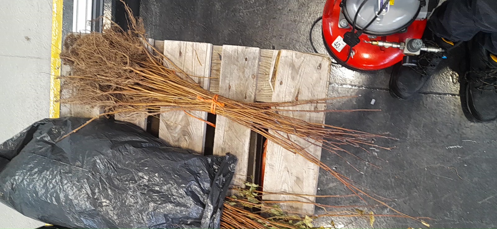 Bundles Object Detection Dataset by Harry Boyce