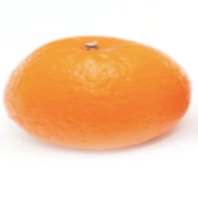 oranges Object Detection Dataset by fruits