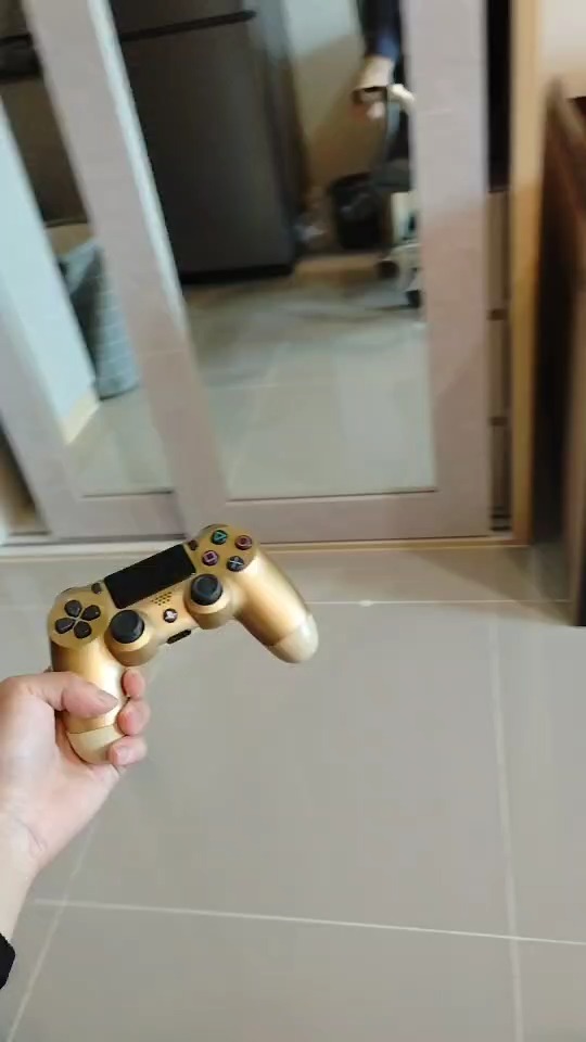 detect controller Object Detection Model by RAIworkshop