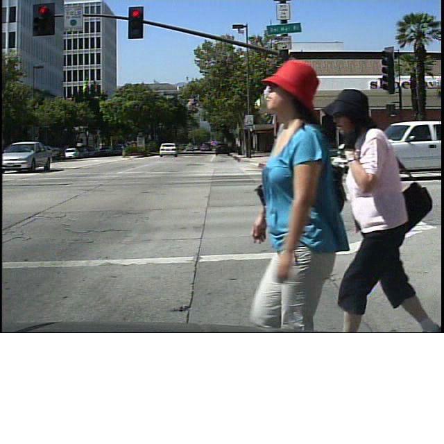 Pedestrian Object Detection Dataset By Warrior