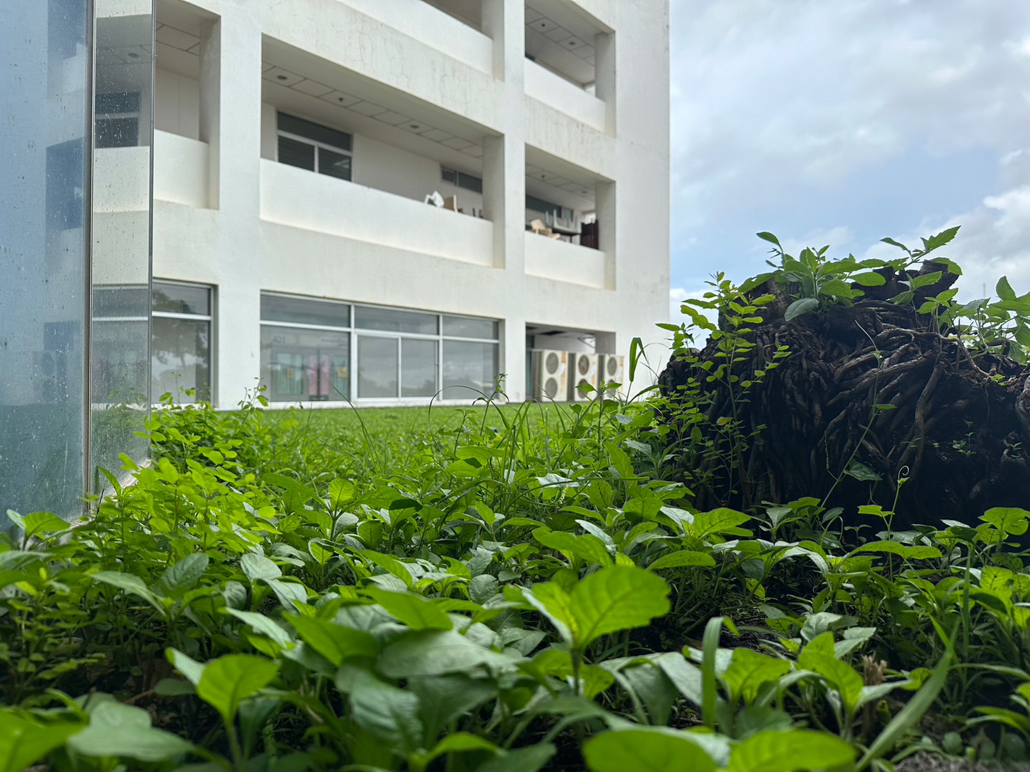 Lawn Object Detection Dataset By Kmitl