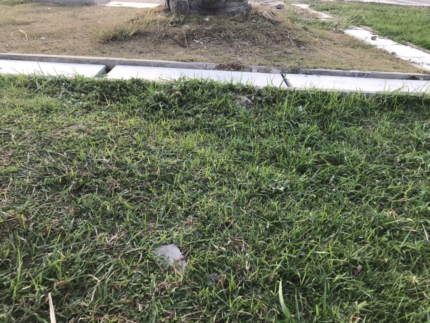 lawn 10.2 Object Detection Dataset by kmitl