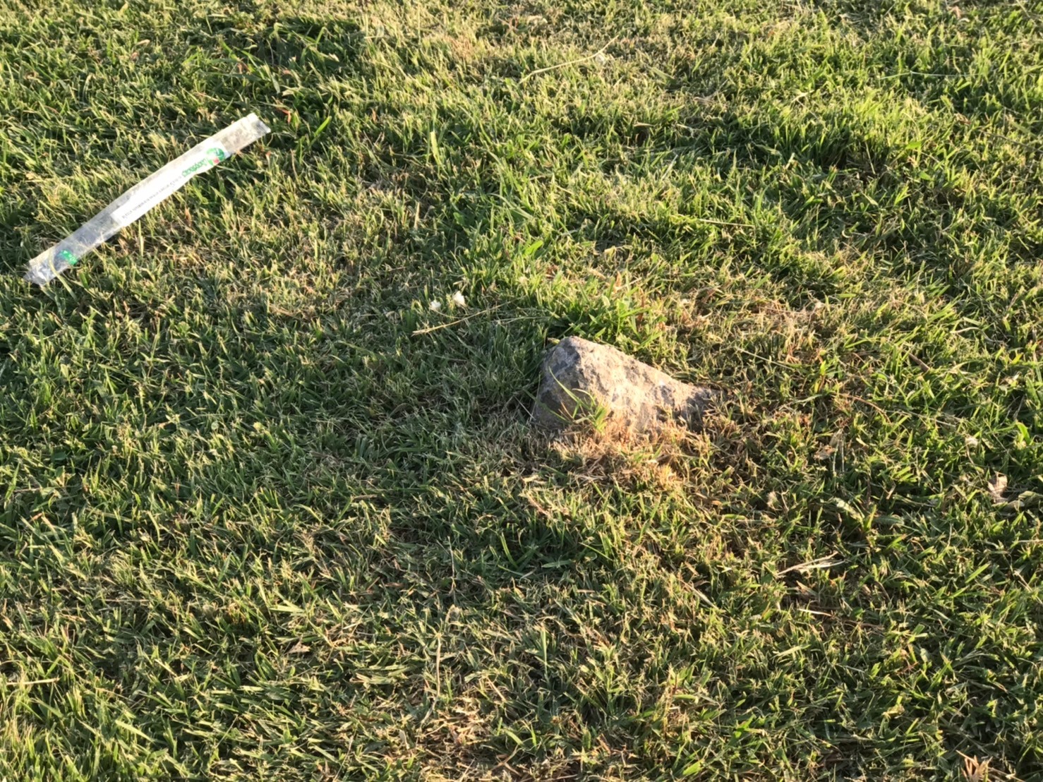 Lawn 10 Object Detection Dataset By Kmitl