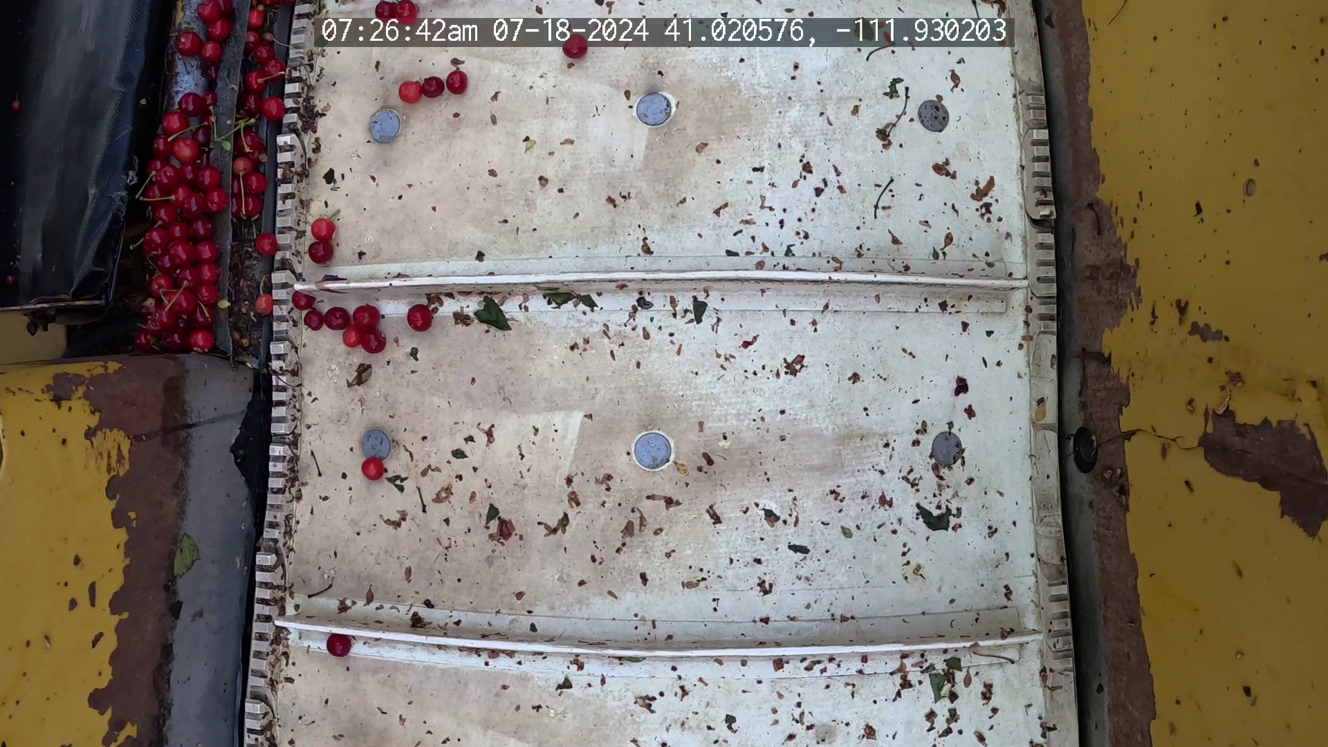 Tart Cherry Yield Monitor Object Detection Dataset By Workspace