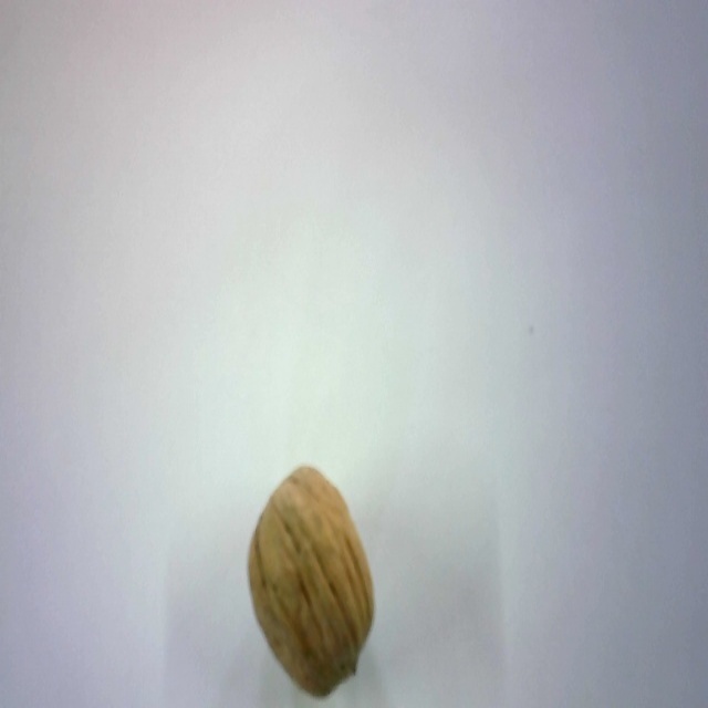 walnut_classes Object Detection Model by FrancoDataset