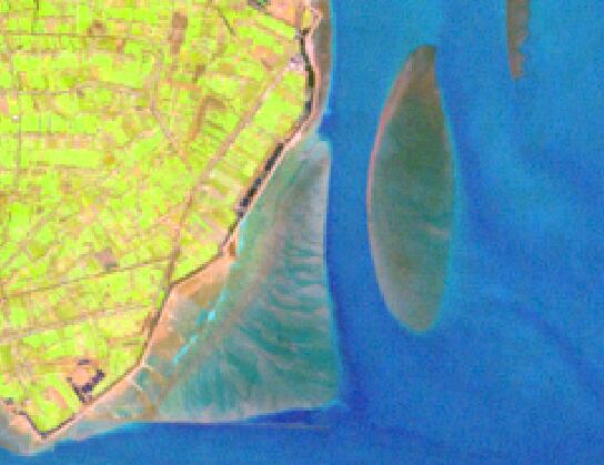 New Coastal Wetland Segmentation Semantic Segmentation Dataset And Pre