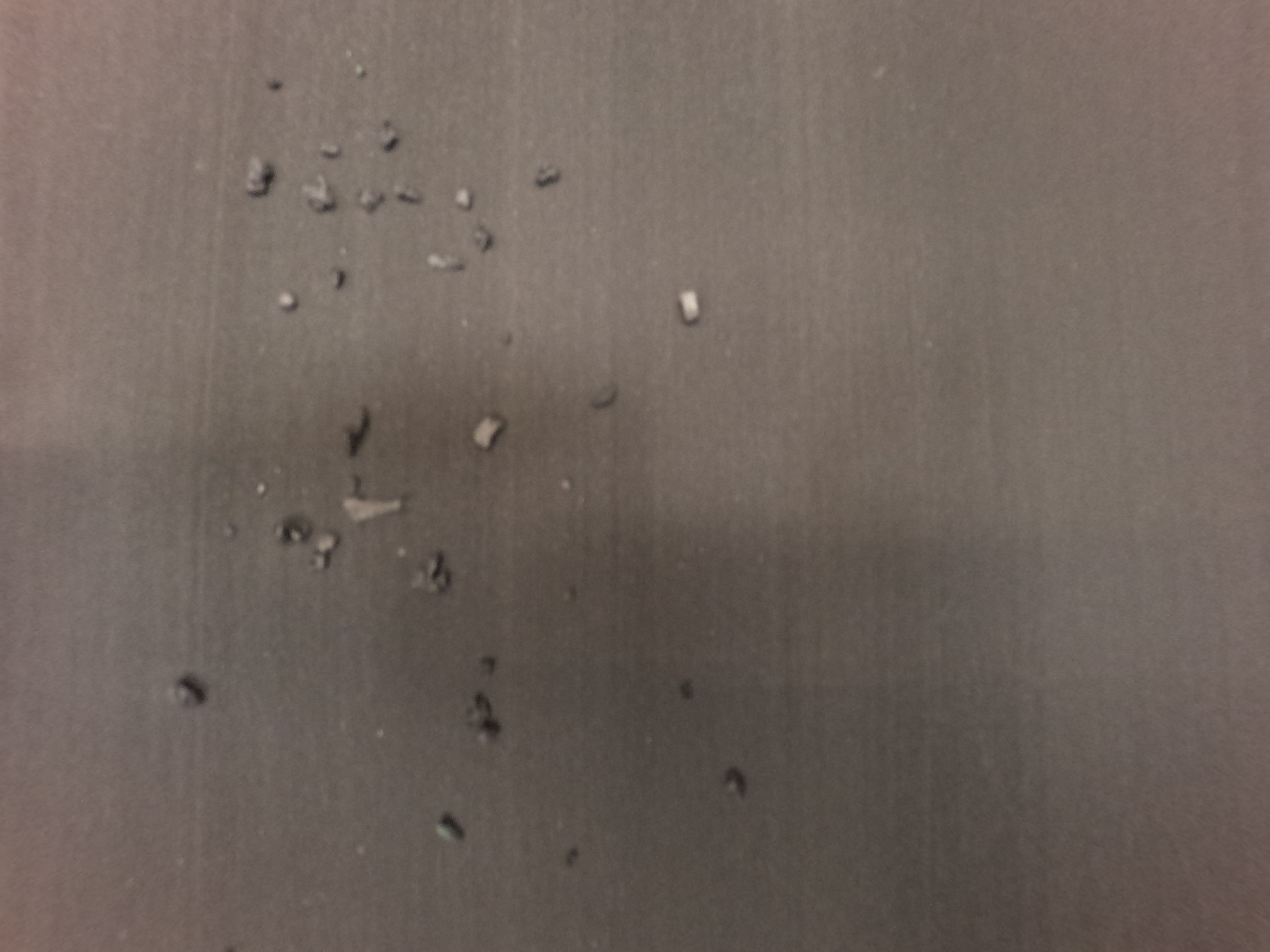 realtime_segment Instance Segmentation Model by pricesold