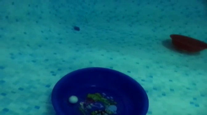 Ball Object Detection Dataset And Pre Trained Model By Auv