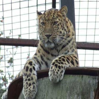 wa Object Detection Dataset by workspace1