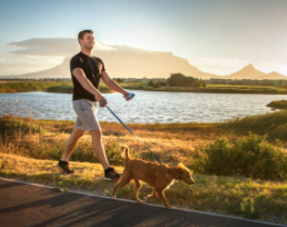 dog_pose Classification Dataset by training data for dogpee