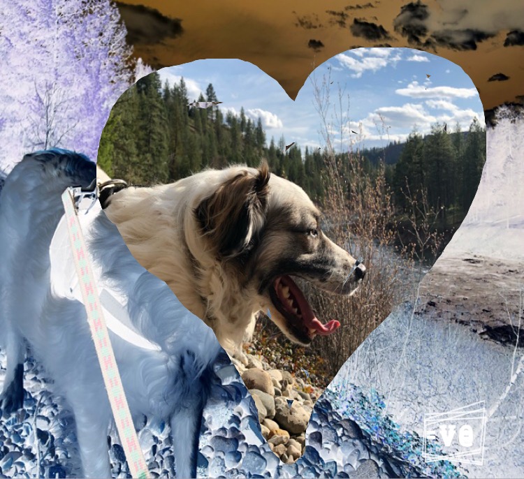 Detect And Classify Object Detection Object Detection Dataset by Kennys Workspace