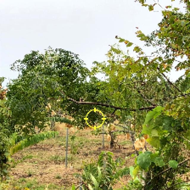 final project (final-project-x3ufp) - Roboflow Universe