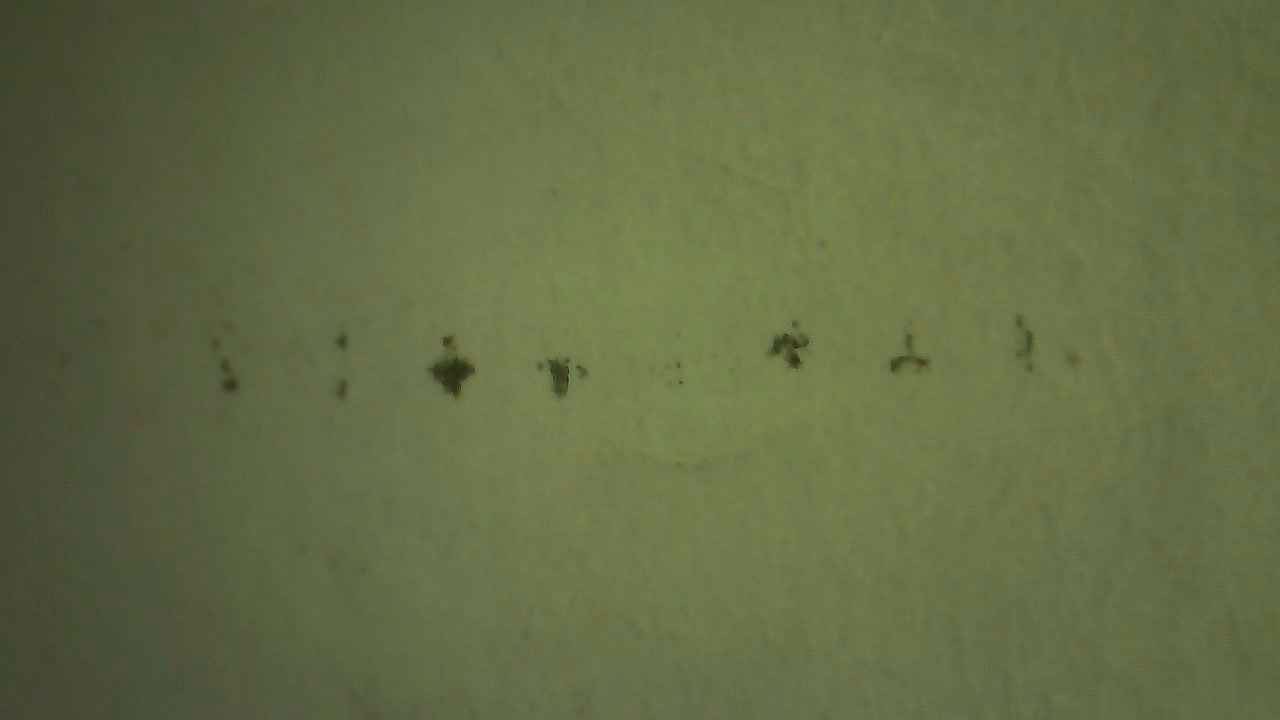 Zebraofficial Object Detection Dataset And Pre Trained Model By Object Detection