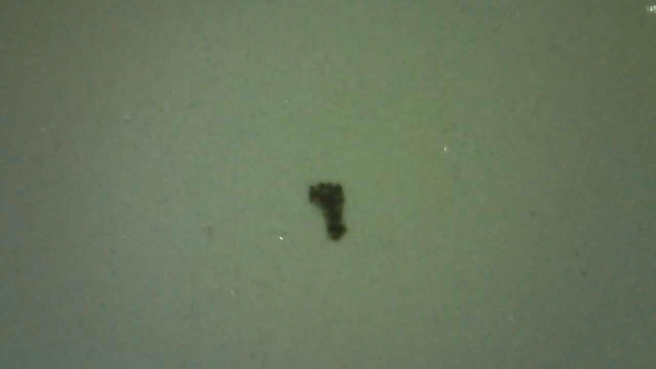 Print patterns Object Detection Dataset by Object Detection