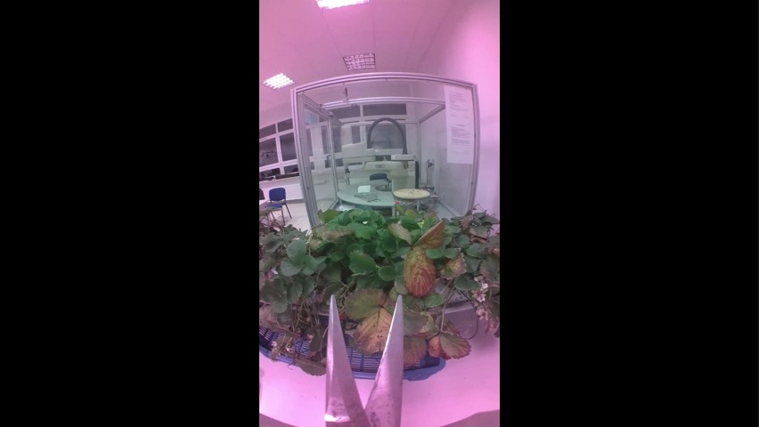 RBOS Object Detection Dataset and Pre-Trained Model by GG