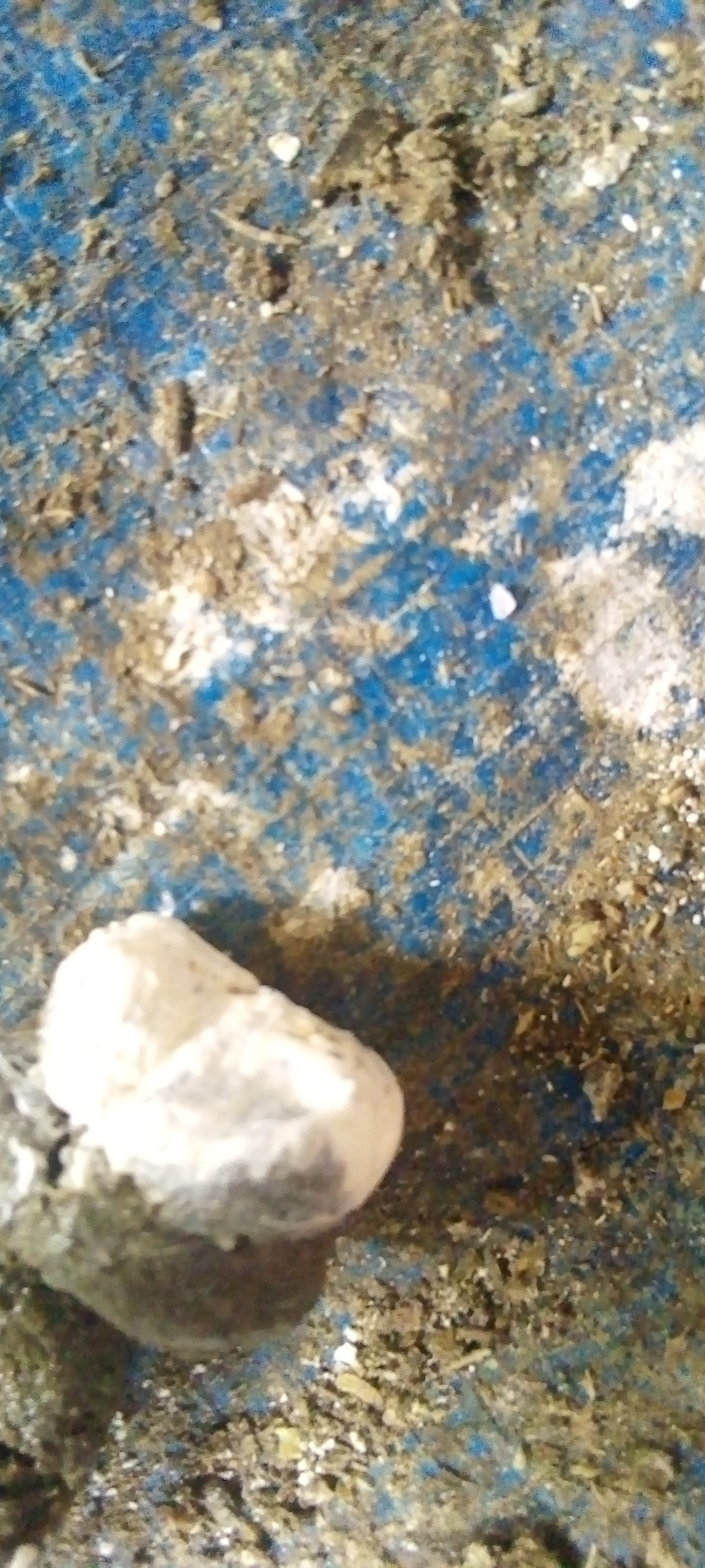 test Object Detection Dataset by afly