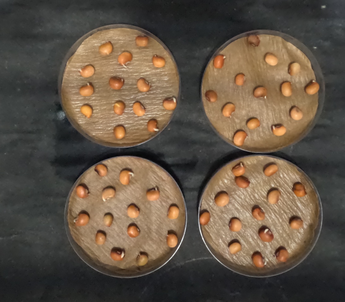 ffff (ffff-7k4mj) - Roboflow Universe