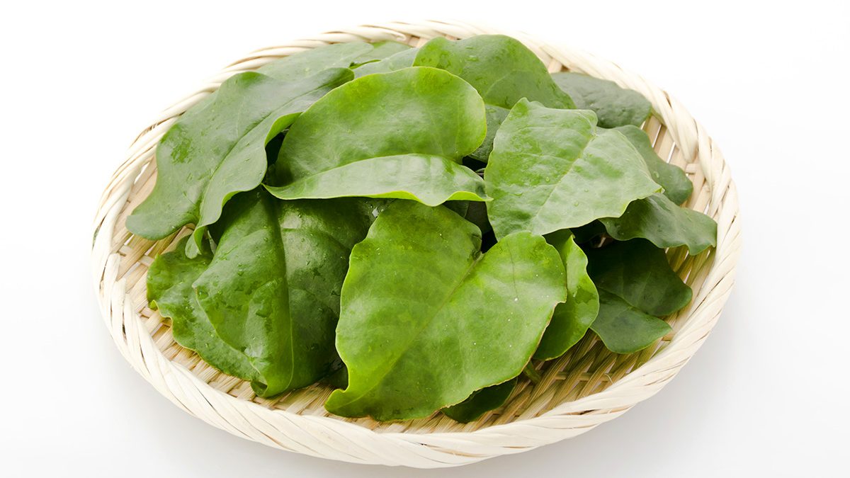 mapil - Roboflow Universe