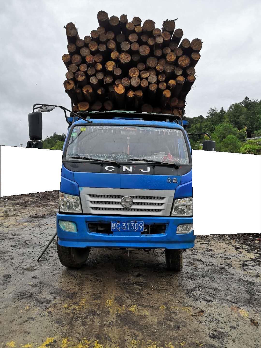 Wood Instance Segmentation Dataset And Pre Trained Model By Fjut