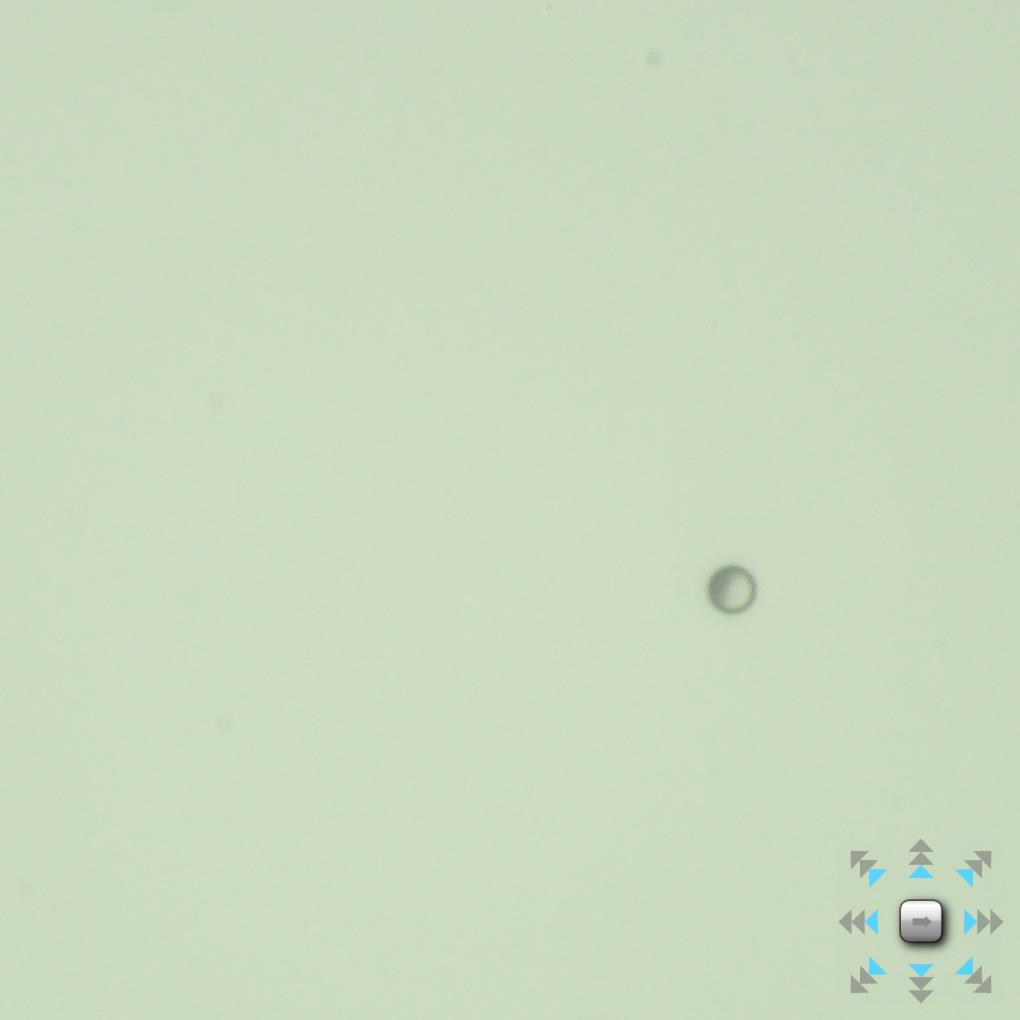 Pt_segment Object Detection Dataset by particles