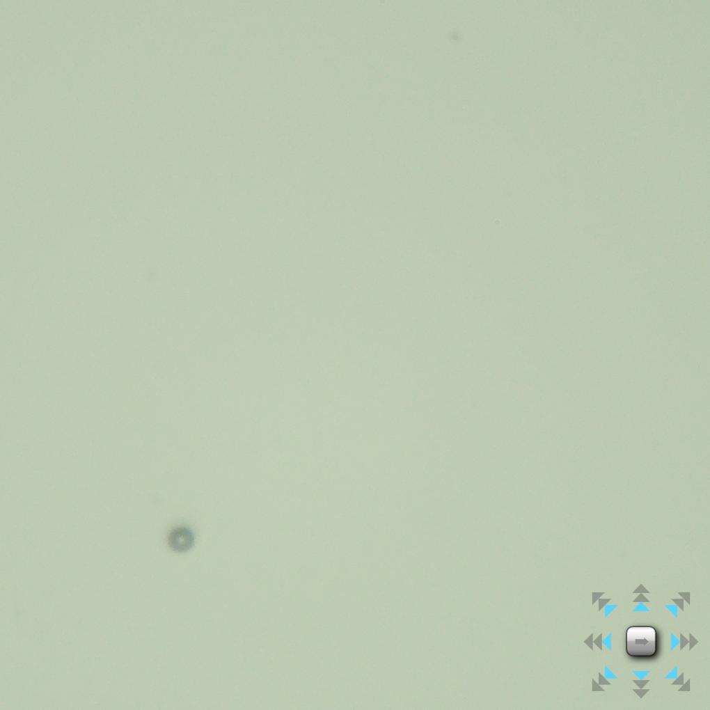 Pt particles Object Detection Dataset by particles