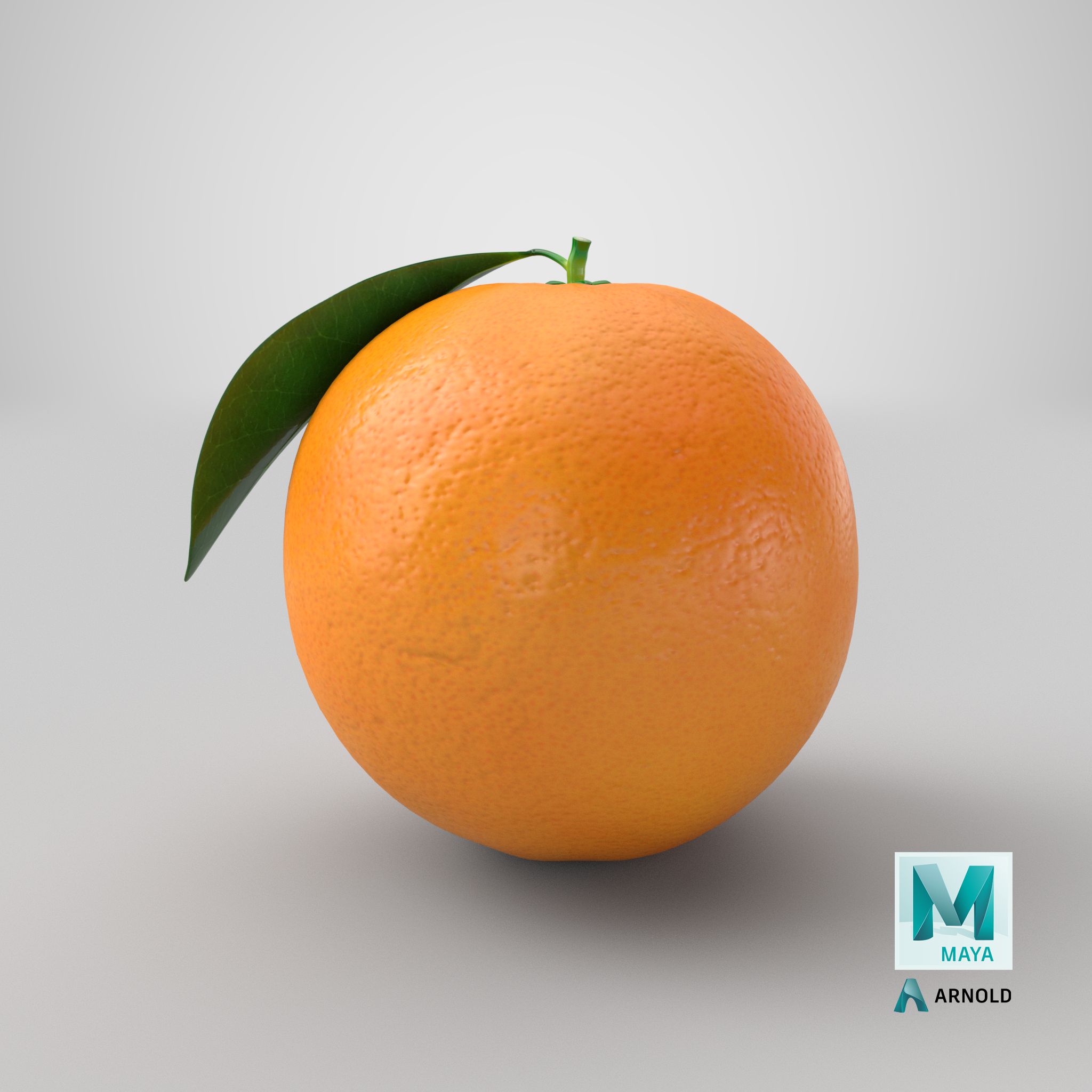 oranges Object Detection Model by task