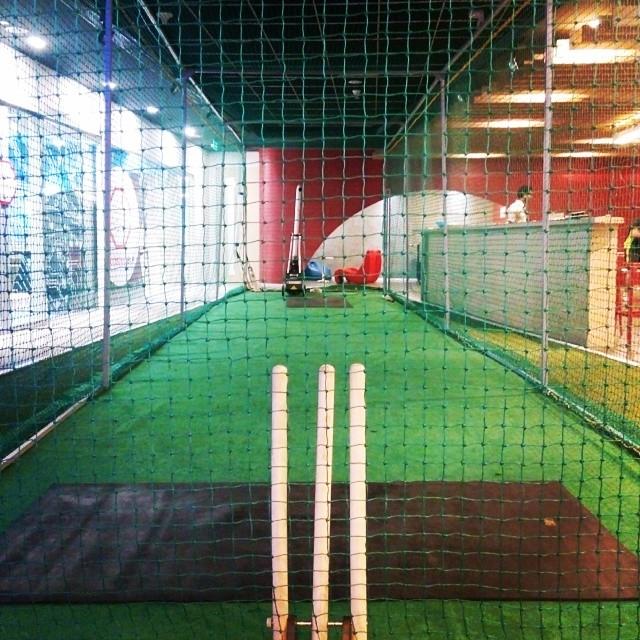 Stump Identification Object Detection Dataset And Pre Trained Model By Hesara