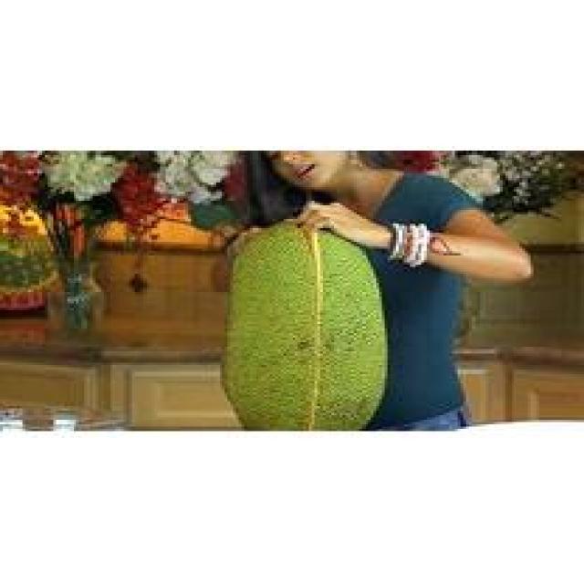 jackfruit Object Detection Dataset by 123