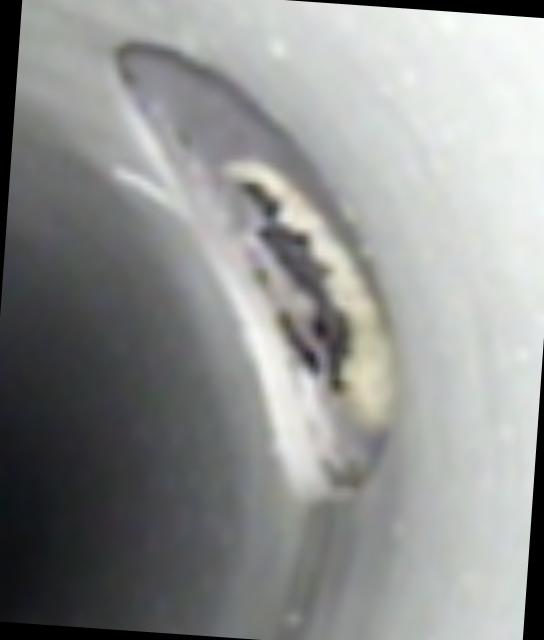 liuhao Object Detection Dataset by project-c2sfs