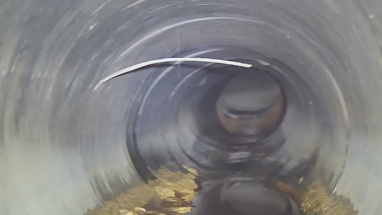 PL-detect Object Detection Dataset by project-c2sfs