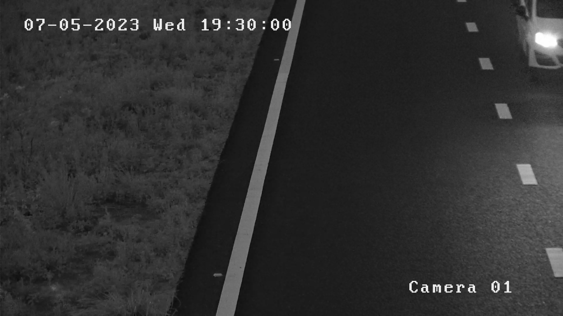 lp Object Detection Dataset by Poornima