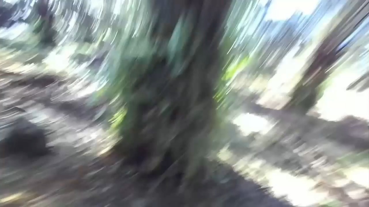 LF Segmentation V1 Instance Segmentation Dataset by Picker Robot Workspace