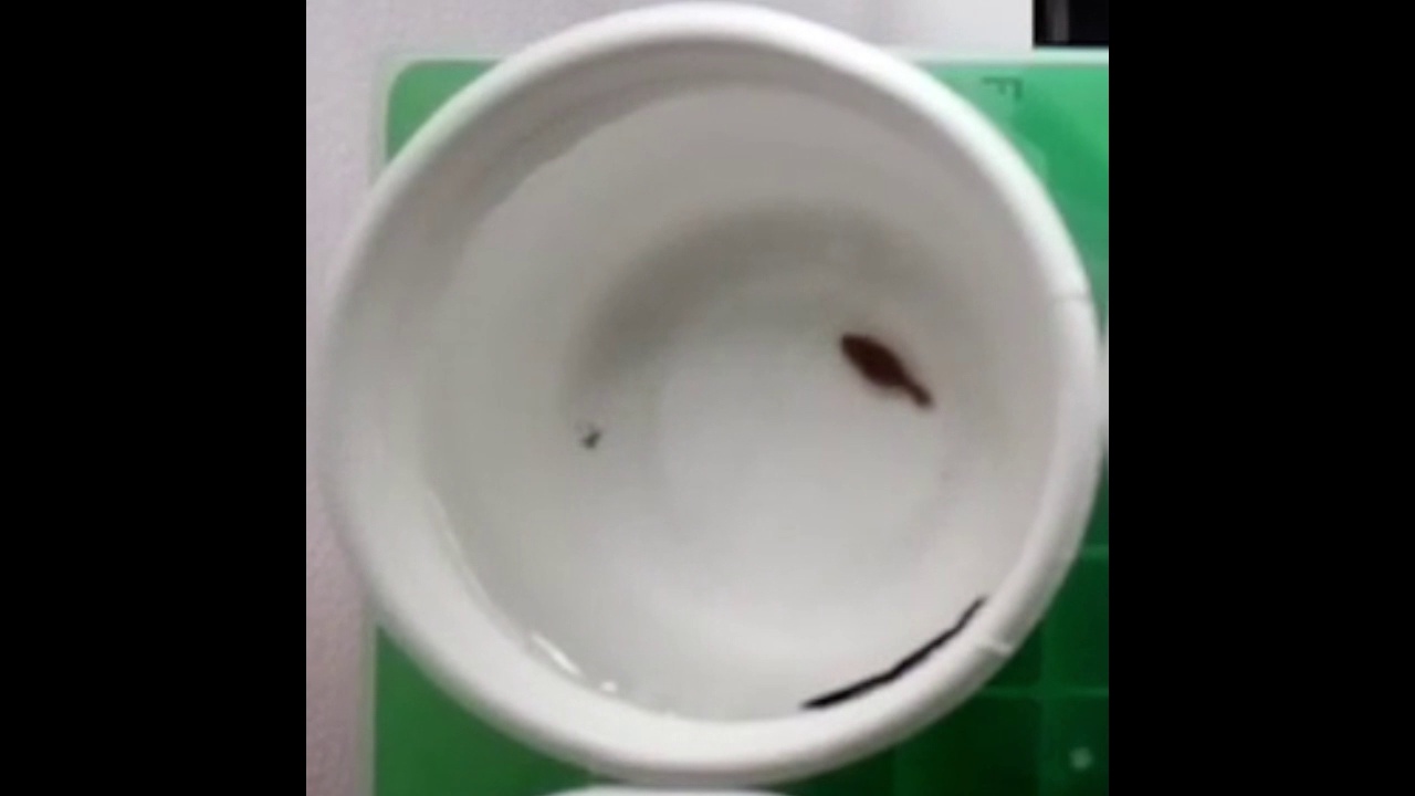 labgym - individual Instance Segmentation Dataset by labgym