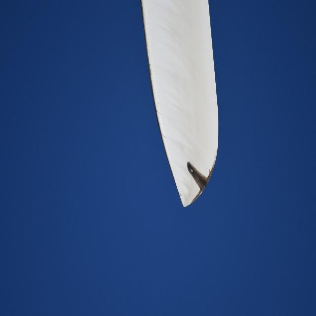 blade Object Detection Model by wz